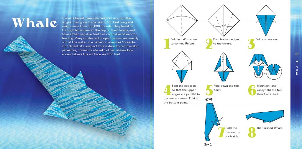 Origami Aquarium – Japanese Paper & Origami Supplies